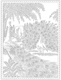 Laura Wheeler Designs 683 & 978 — Peacock Wall Hangings – Q is For Quilter