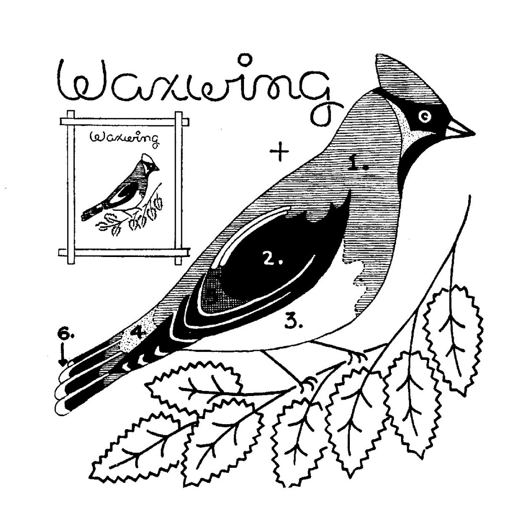 Quilt of Birds Pattern — Nancy Page Quilt Club – Q is For Quilter